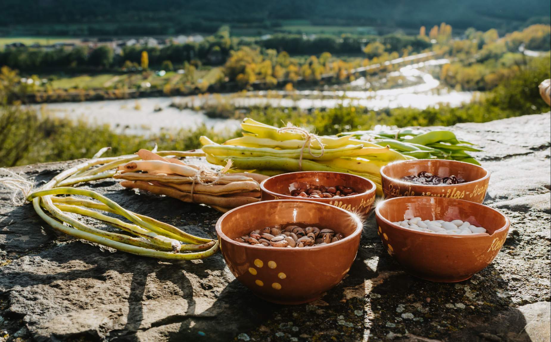 Gastronomía y productos locales