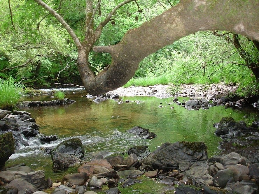Guided environmental route in Chelo-Río Mandeo