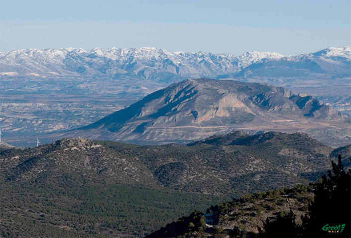 Horts the all-seeing