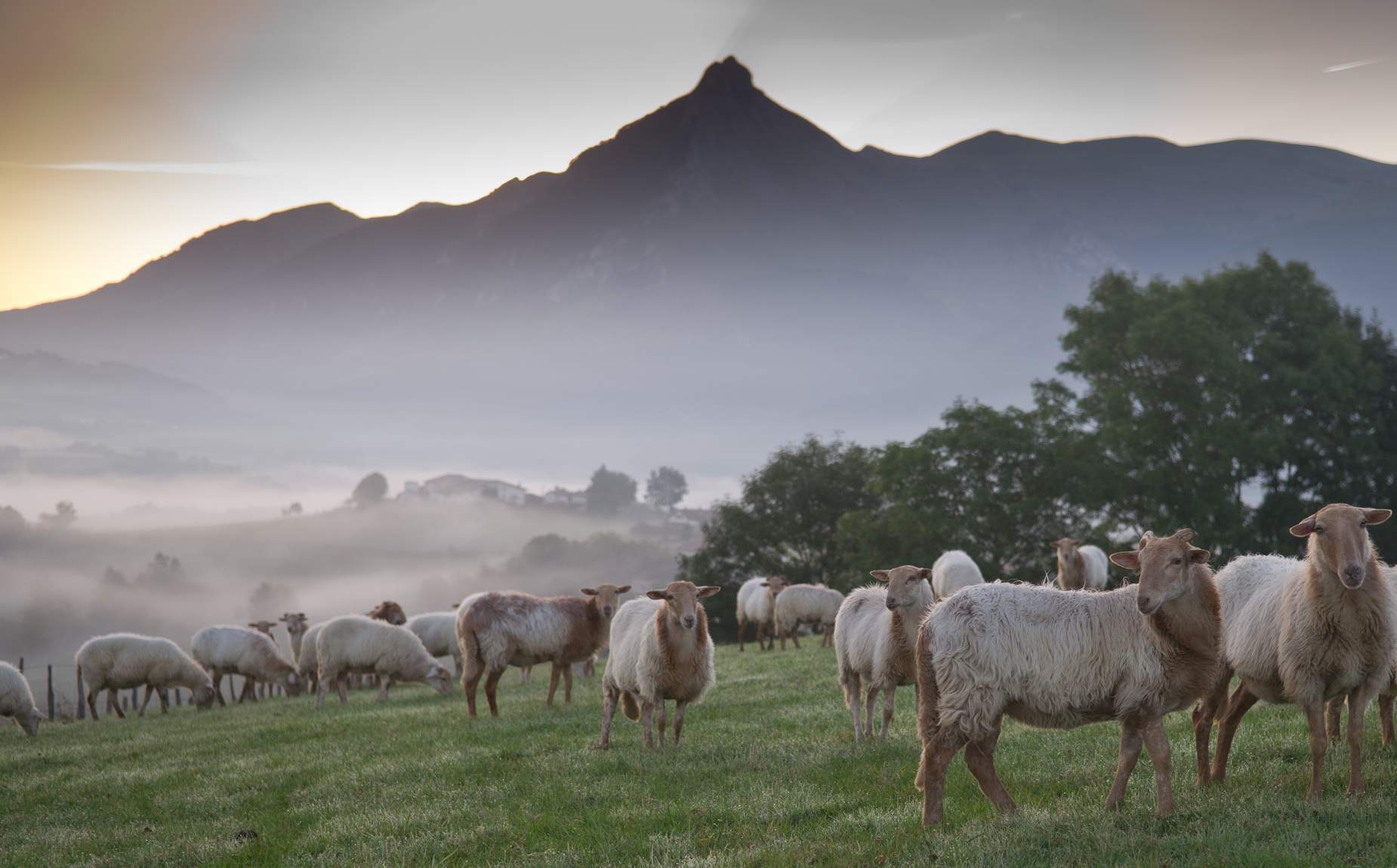 Explore the Natural Park through Larraitz and Lizarrusti.