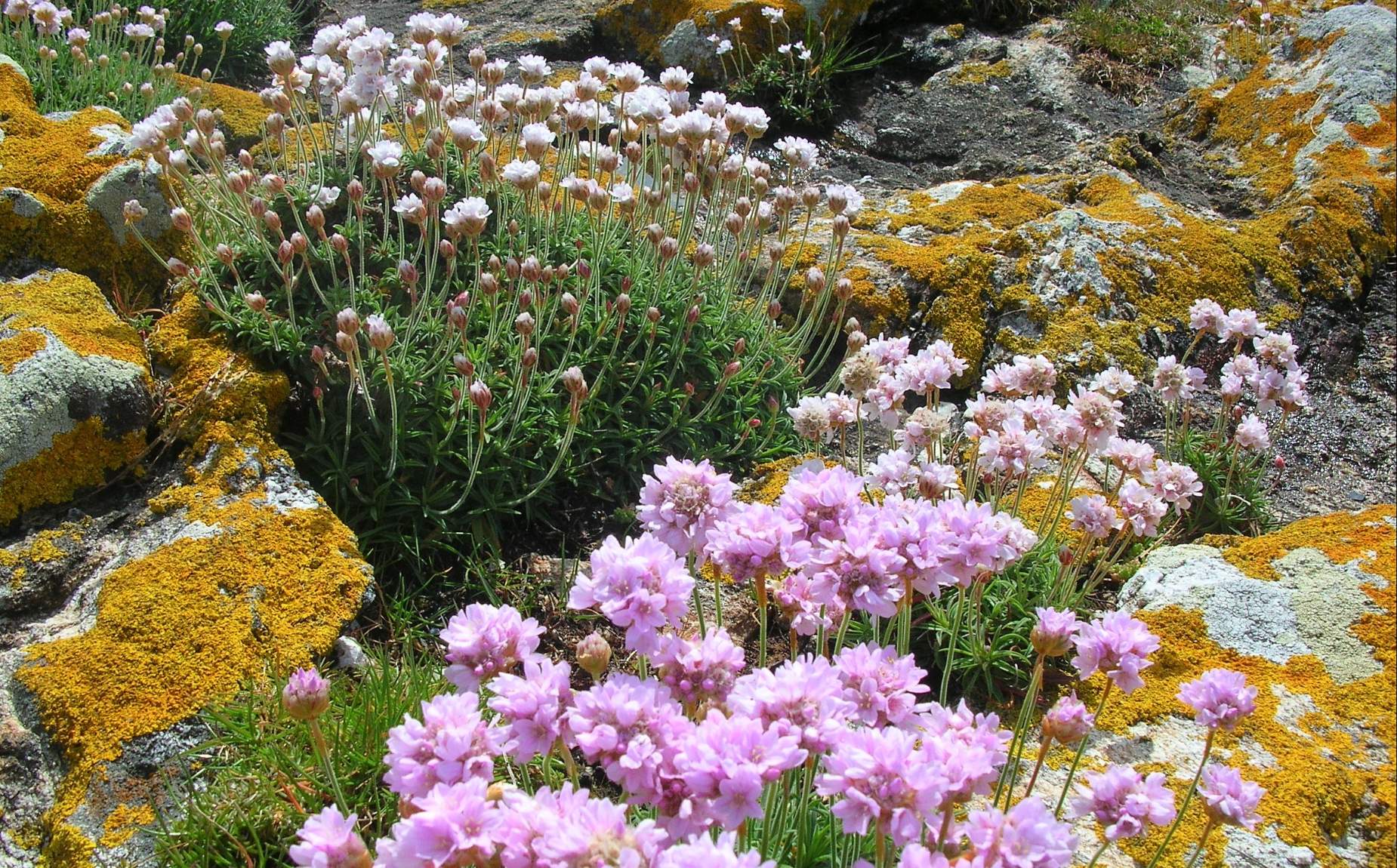 SMALL ISLAND TREASURES