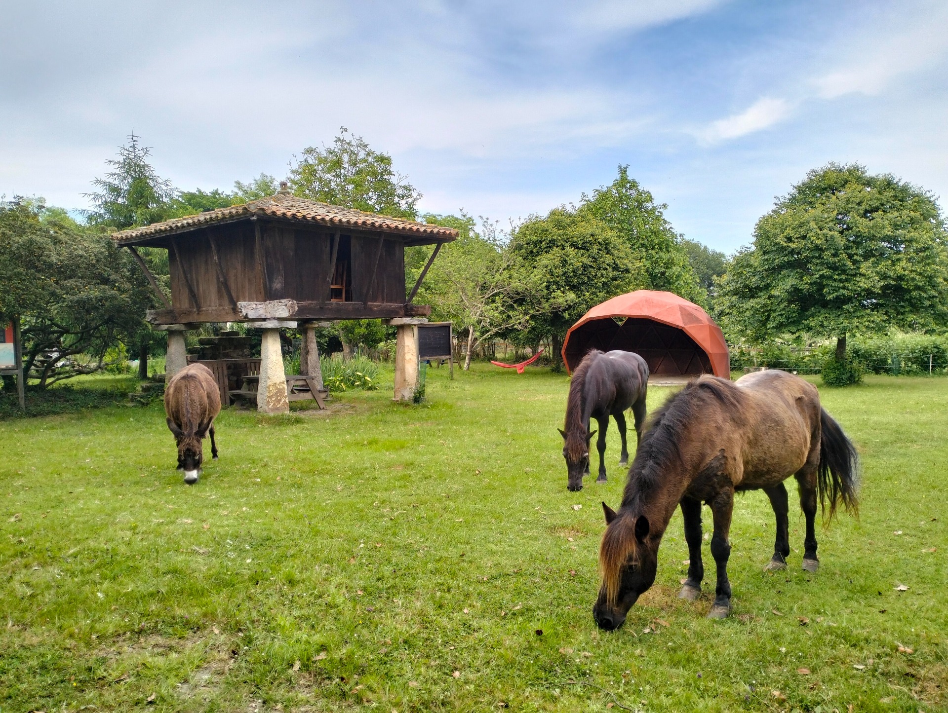 Riparian forest and extensive cattle ranching