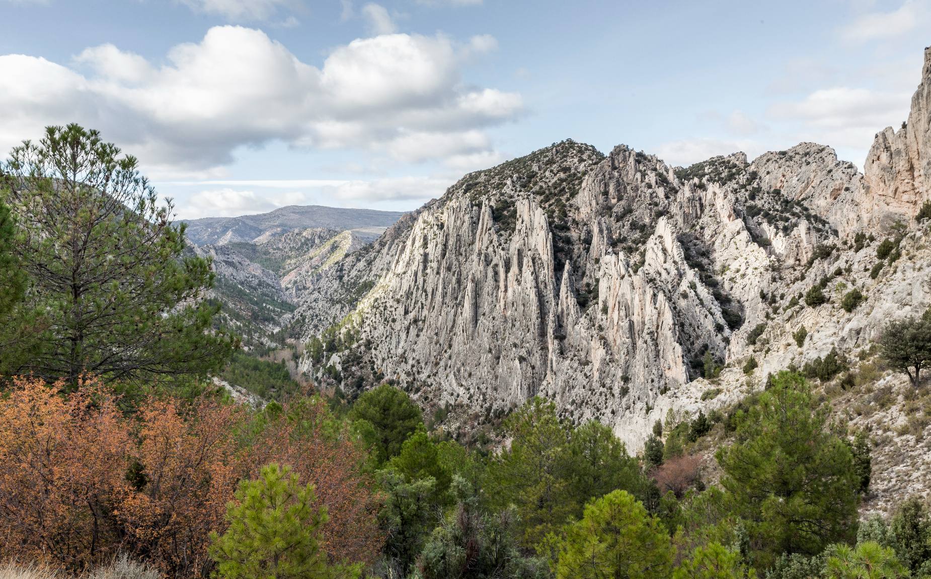 Discover the natural area of Maestrazgo