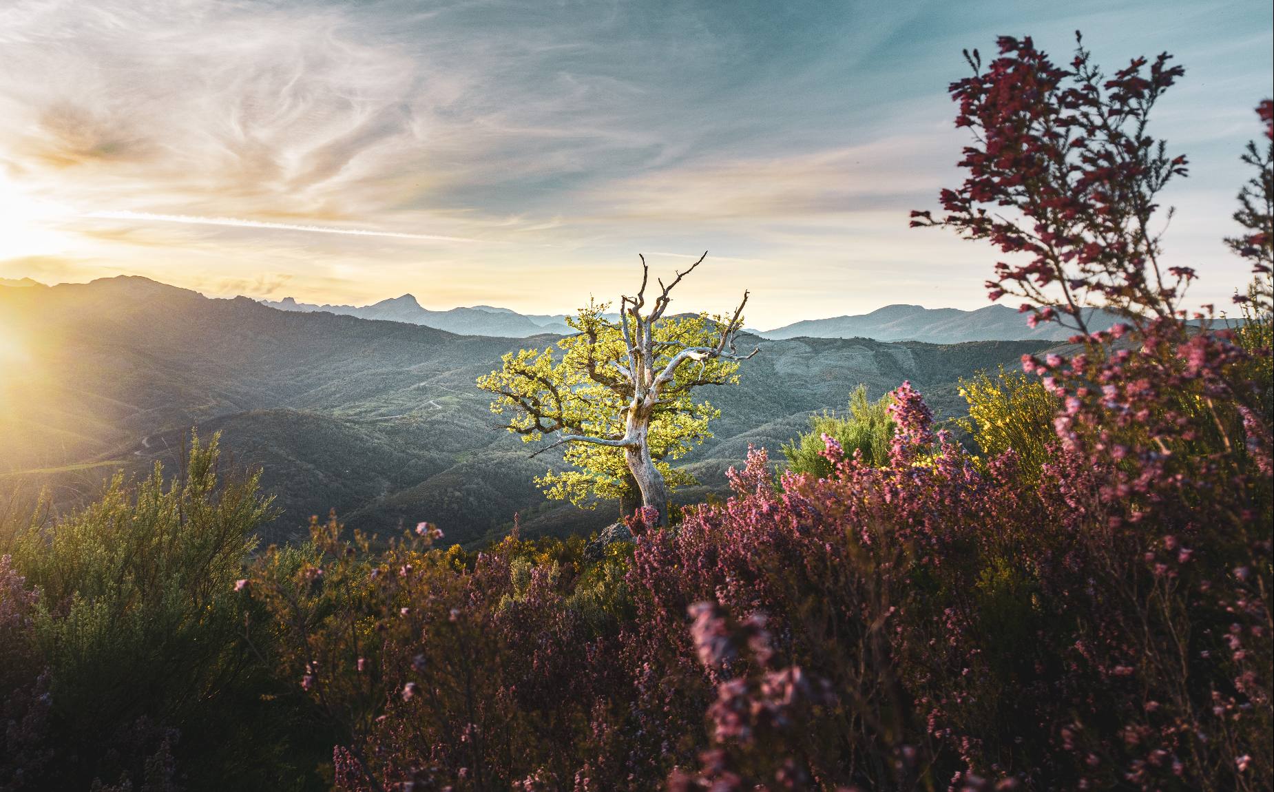 Descubre el espacio natural de Montaña Riaño